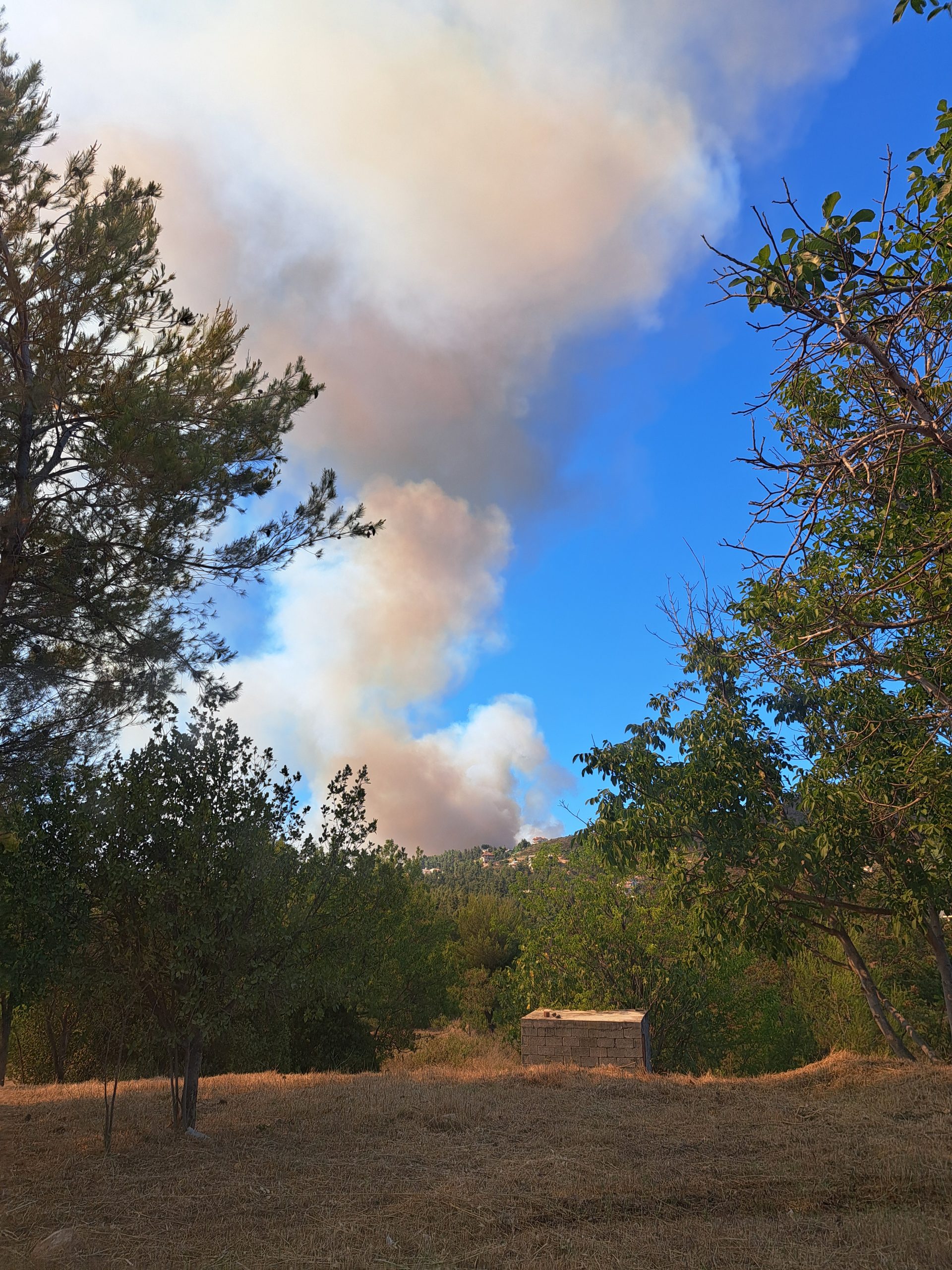 Φωτια στη Σταματα – Fire Report – Φωτιά τώρα