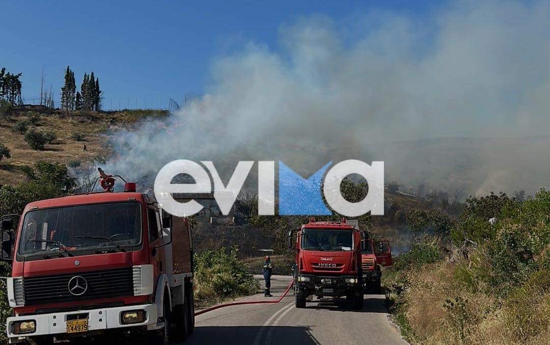 Νέα φωτιά στην Εύβοια, στο Κοντοδεσπότι – Fire Report – Φωτιά τώρα